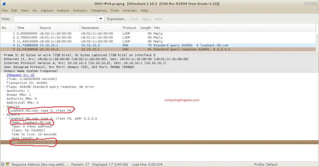 CCNA Labs DNS Server Configuration on GNS3 and Packet Tracer | ComputingForGeeks
