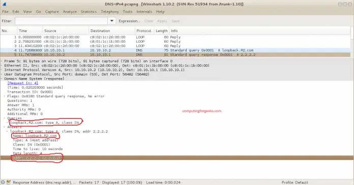 CCNA Labs DNS Server Configuration on GNS3 and Packet Tracer | ComputingForGeeks