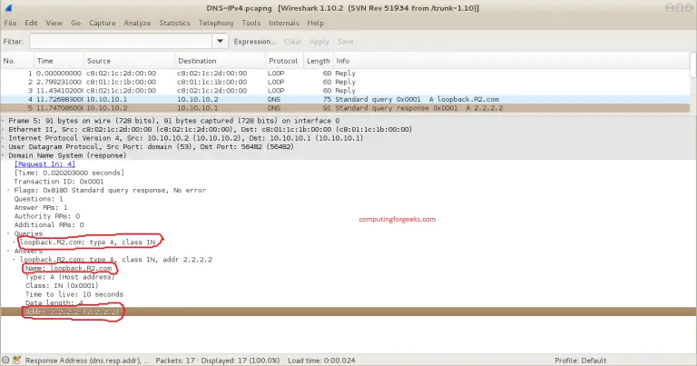 CCNA Labs DNS Server Configuration on GNS3 and Packet Tracer | ComputingForGeeks