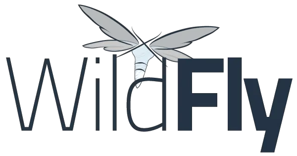How To Install WildFly (JBoss) on Debian 11 / Debian 10 | ComputingForGeeks