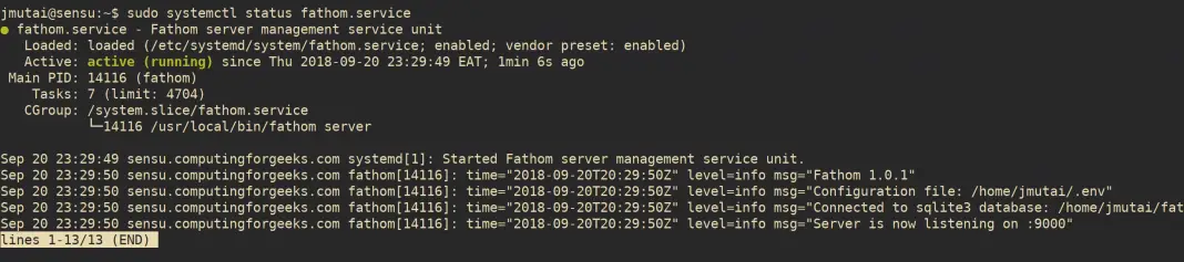 Install Fathom analytics on Ubuntu/Debian/CentOS | ComputingForGeeks