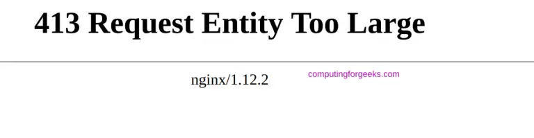 Resolve 413 Request Entity Too Large Error On Nginx Apache 7880