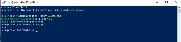 How to run Linux on Windows Server 2019 with WSL | ComputingForGeeks