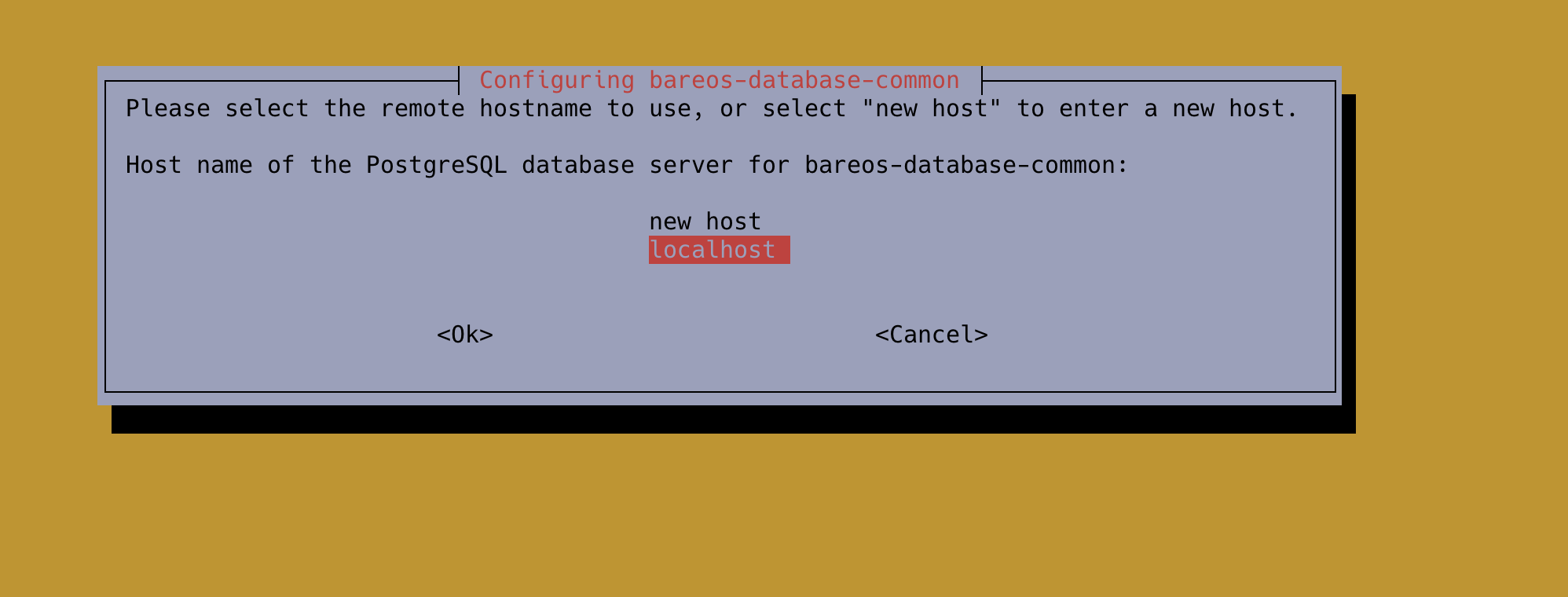 Install Bareos Backup Tool On Ubuntu 20041804 Computingforgeeks