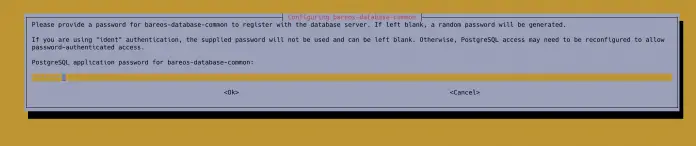 Install Bareos backup Tool on Ubuntu 20.04|18.04 | ComputingForGeeks