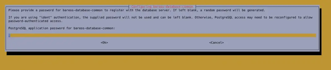 Install Bareos Backup Tool On Ubuntu 20041804 Computingforgeeks