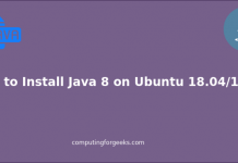 Install Java JDK 21 or OpenJDK 21 on Debian 12/11/10 | ComputingForGeeks