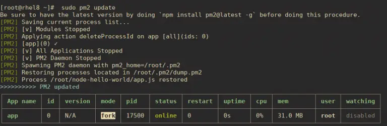 Install PM2 Node.js Process Manager on RHEL 8|CentOS 8|Rocky Linux 8 | ComputingForGeeks