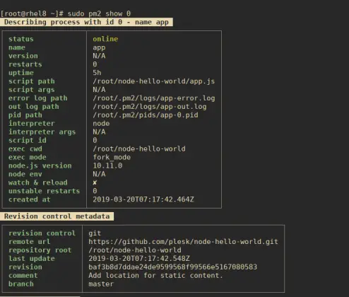 Install PM2 Node.js Process Manager on RHEL 8|CentOS 8|Rocky Linux 8 ...