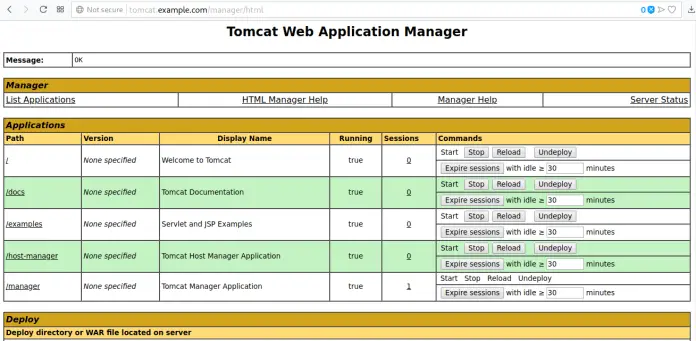 Install Tomcat 9 on CentOS 8|RHEL 8|Rocky Linux 8 | ComputingForGeeks