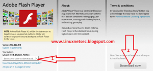 How to Install Adobe Flash Player on Kali Linux and Debian | ComputingForGeeks