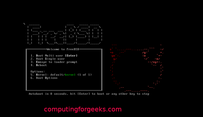 Install FreeBSD 14 on KVM or VirtualBox (Easy 2024 Guide ...