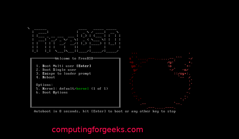Install FreeBSD 14 on KVM or VirtualBox (Easy 2024 Guide) | ComputingForGeeks