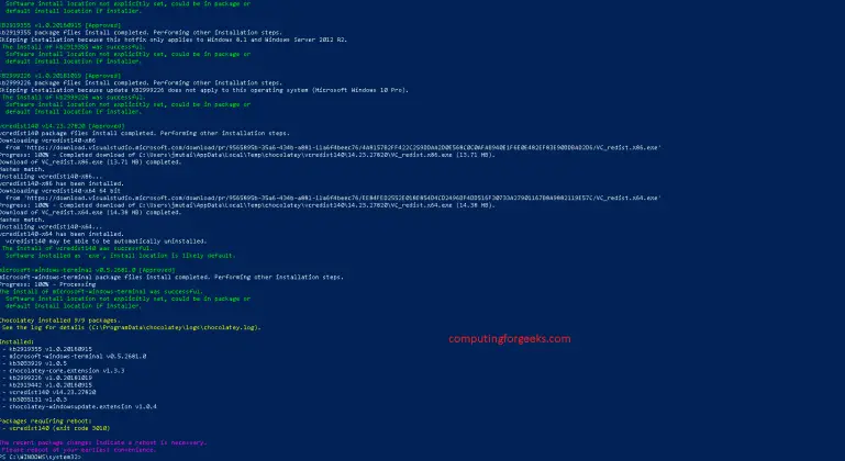 Install Windows Terminal On Windows 10 Server 2019 Computingforgeeks