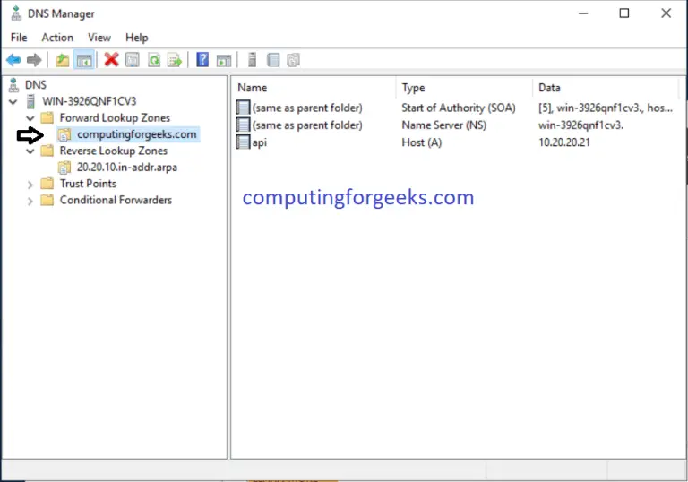 How To add DNS A/PTR Record in Windows Server 2019 | ComputingForGeeks