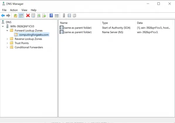 How To add DNS Forward Lookup Zone in Windows Server 2019 ...