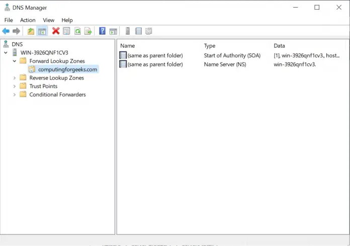 How To add DNS Forward Lookup Zone in Windows Server 2019 | ComputingForGeeks