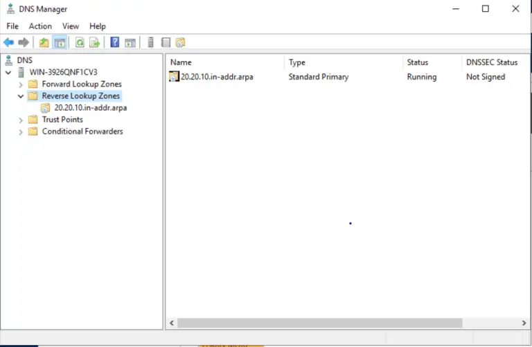 How To add DNS Reverse Lookup Zone in Windows Server 2019 ...
