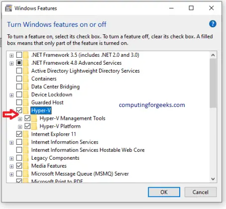 Enable Hyper-V and Install Vagrant on Windows 11/10 | ComputingForGeeks