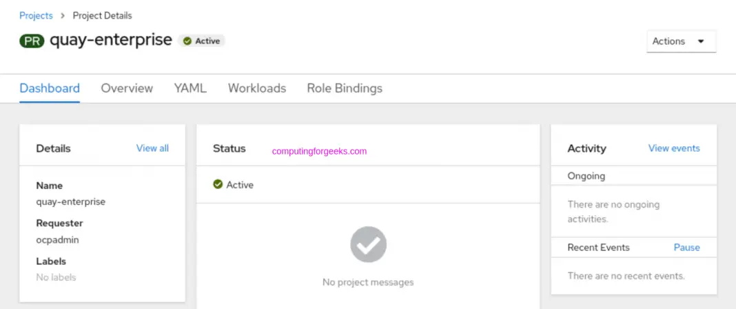 Install Project Quay Registry On Openshift With Operator Computingforgeeks 5984