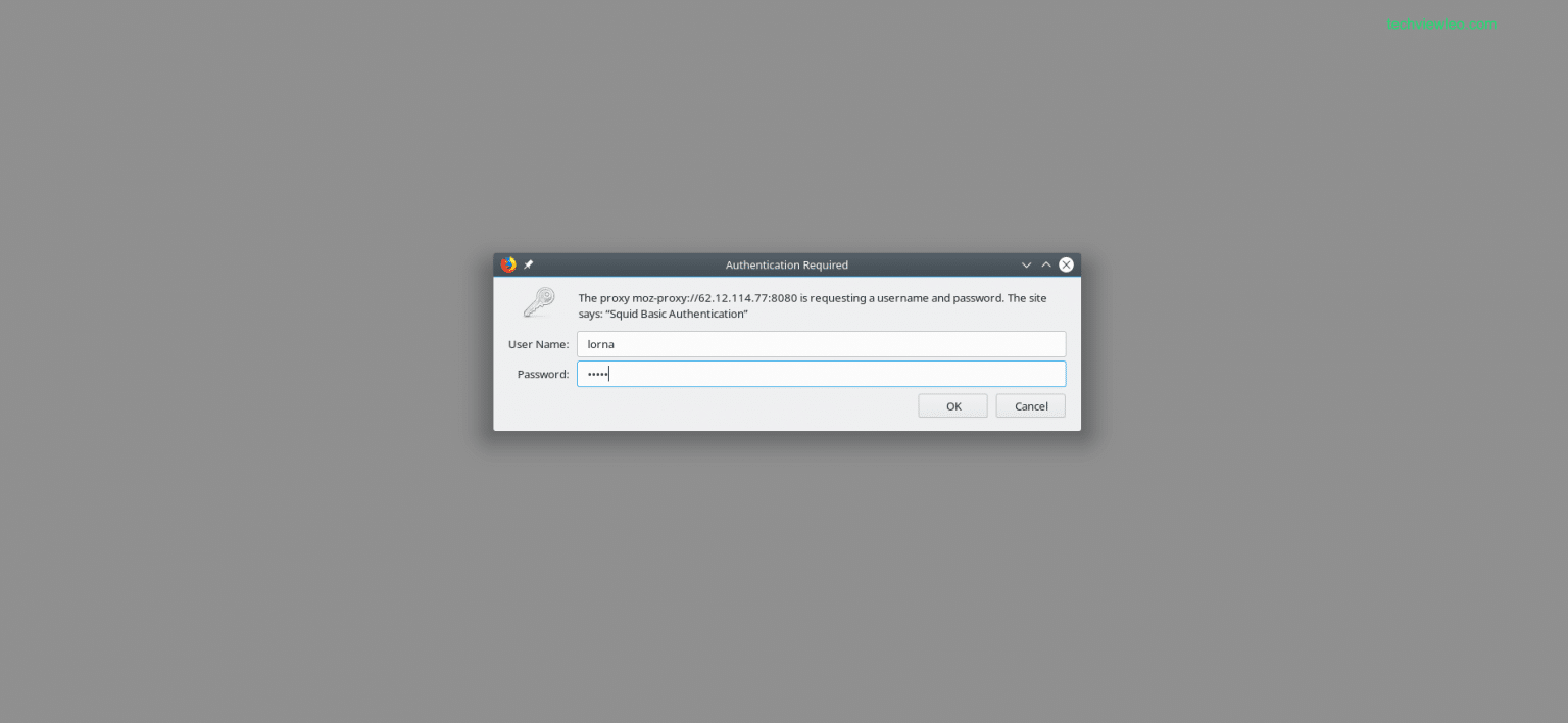 Install And Configure Squid Proxy Server On Ubuntu 22042004 6614