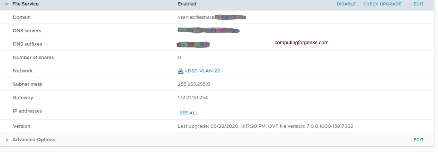 Enable NFS File Service in VMware vSAN Storage Cluster | ComputingForGeeks