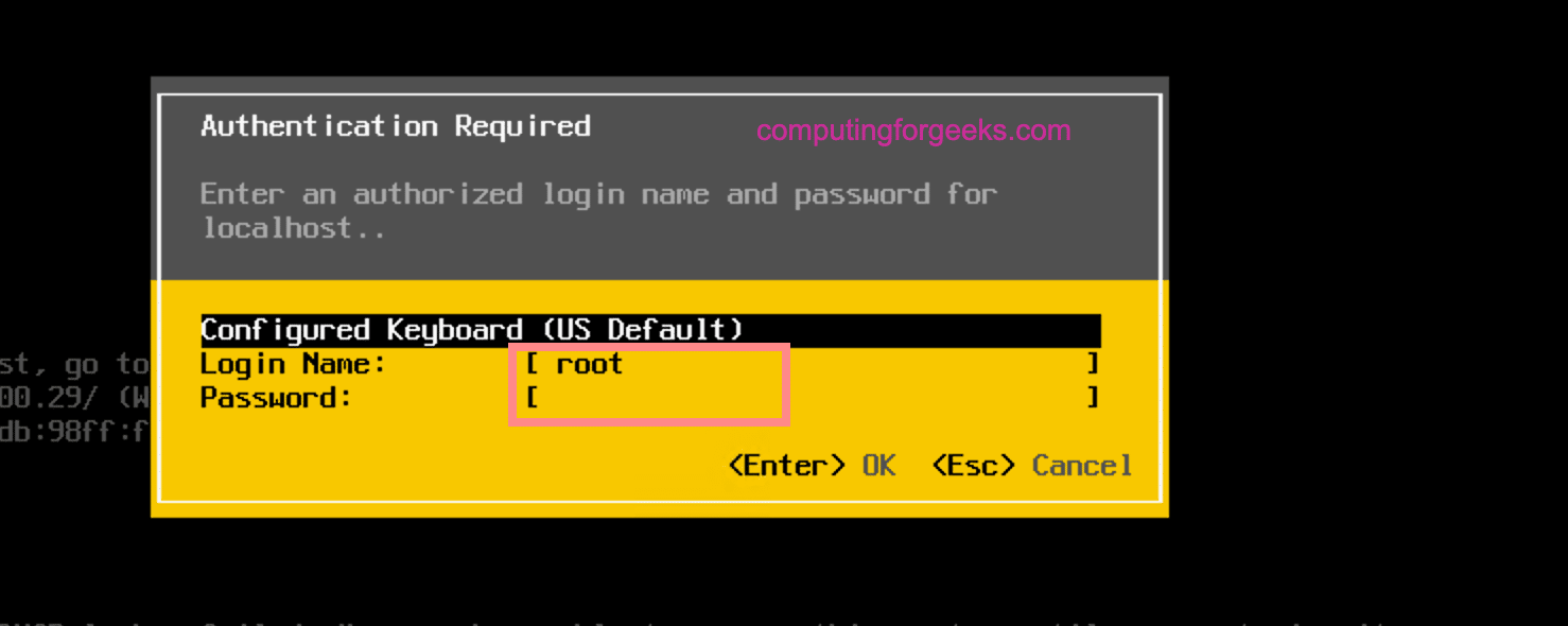 Install vSphere ESXi 7.0 on Bare-metal Servers | ComputingForGeeks