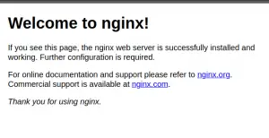 Optimize and reduce the size of Docker Container Image using DockerSlim | ComputingForGeeks