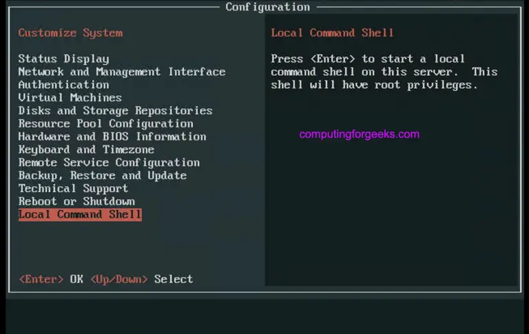 Install Xcp Ng 82 Virtualization Platform Step By Step With Screenshots Computingforgeeks 
