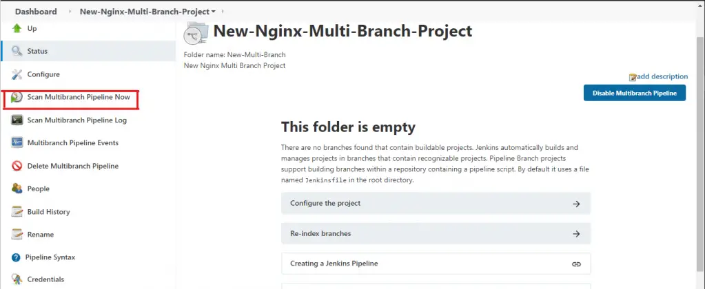 How To Use Multi-Branch Pipeline in Jenkins | ComputingForGeeks