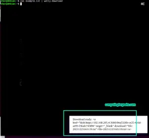 How To Run Linux Terminal on Web Browser using Wetty | ComputingForGeeks