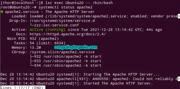 Run Linux Containers with LXC/LXD on Rocky Linux 8|AlmaLinux 8 ...