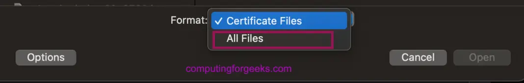 Configuring oVirt / RHEV Manager Certificate Security on browser | ComputingForGeeks