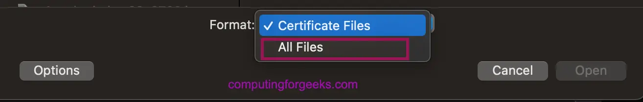Configuring oVirt / RHEV Manager Certificate Security on browser | ComputingForGeeks