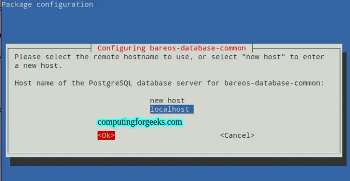 Install and Use Bareos Backup Solution on Debian 11|Debian 10 ...