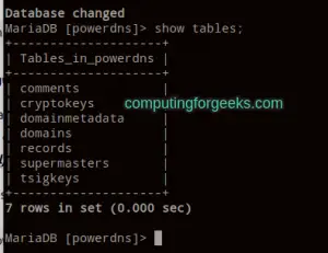 Install PowerDNS and PowerDNS Admin on Debian 12/11/10 | ComputingForGeeks