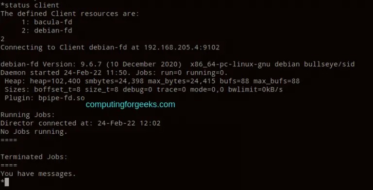 Install and Use Bacula Backup on Rocky Linux 8|AlmaLinux 8 | ComputingForGeeks
