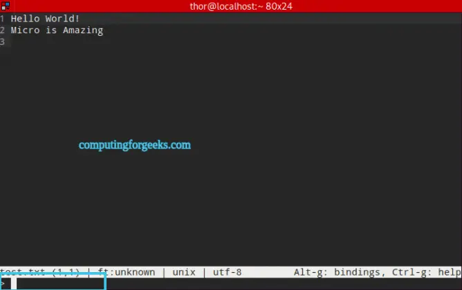 Install and Use Micro terminal text editor on Rocky/AlmaLinux 8 ...