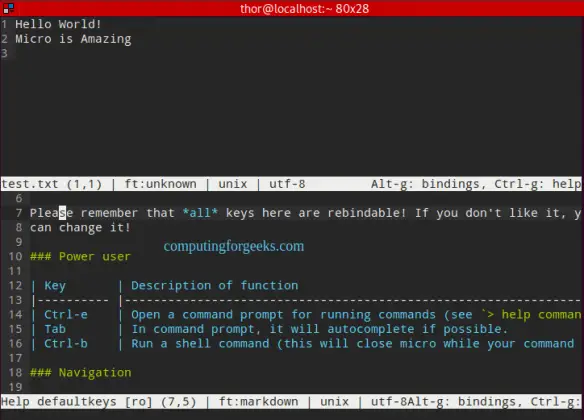 Install and Use Micro terminal text editor on Rocky/AlmaLinux 8 ...