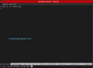 Install and Use Micro terminal text editor on Rocky/AlmaLinux 8 ...