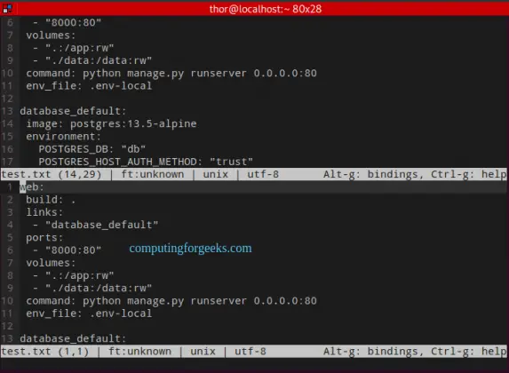 Install and Use Micro terminal text editor on Rocky/AlmaLinux 8 | ComputingForGeeks