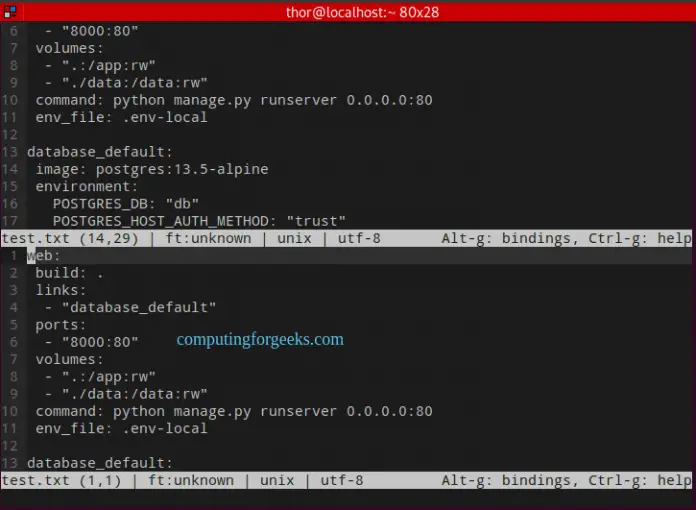 Install and Use Micro terminal text editor on Rocky/AlmaLinux 8 ...