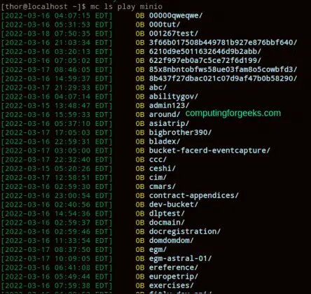 Deploy and Manage MinIO Storage on Kubernetes | ComputingForGeeks