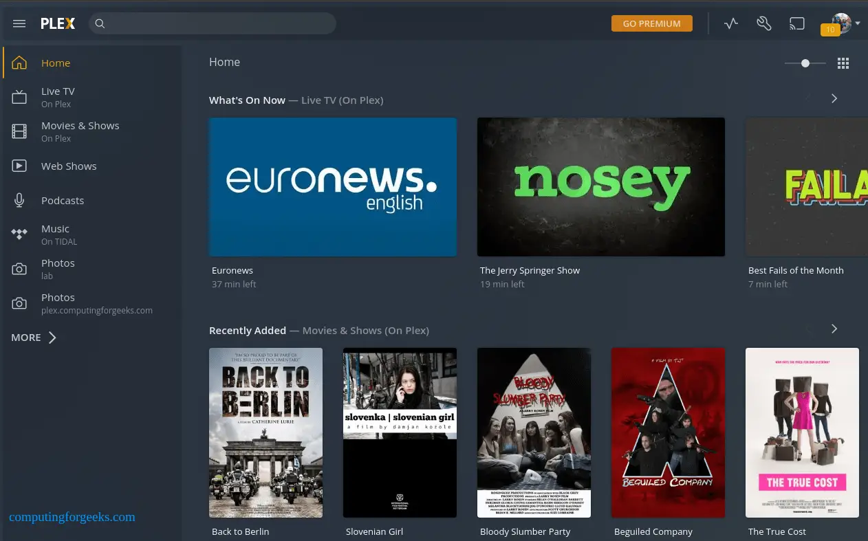 Install Plex Media Server on Debian 12/11/10 | ComputingForGeeks