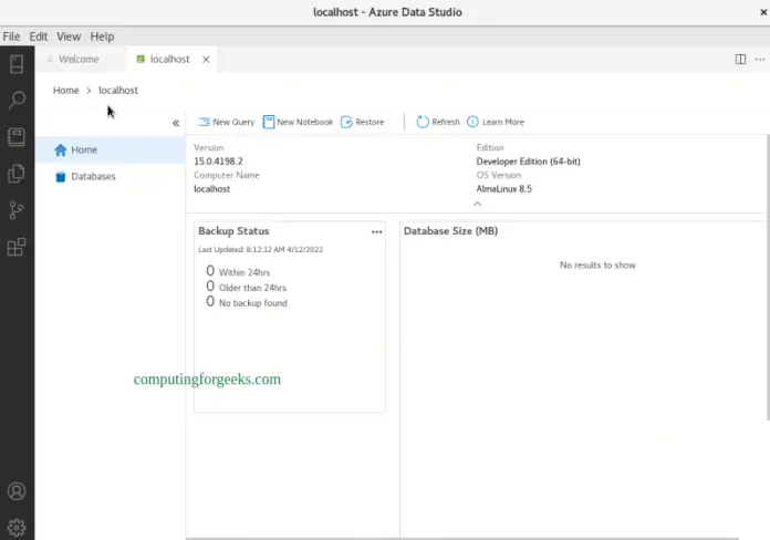 Install Azure Data Studio on Rocky / AlmaLinux 8 | ComputingForGeeks