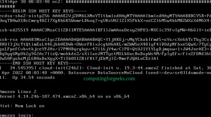 Run Amazon Linux 2 on VirtualBox/VMware/Hyper-V | ComputingForGeeks