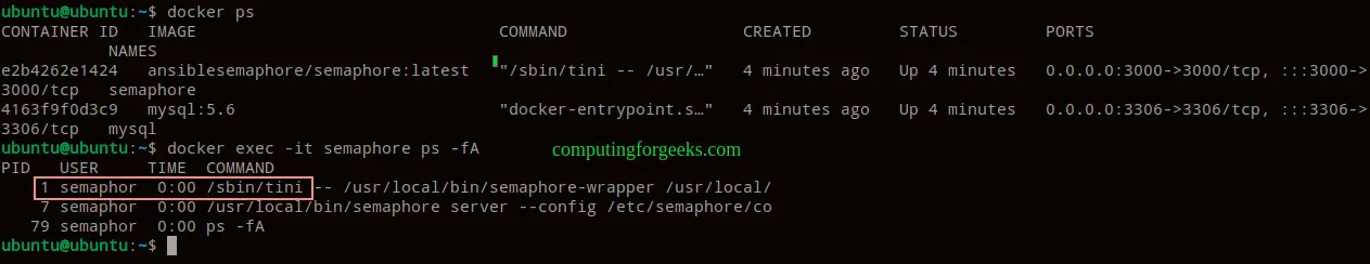 How To Use Tini Init system in Docker Containers | ComputingForGeeks
