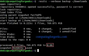Backup Linux System to Minio S3 and SFTP using Restic | ComputingForGeeks