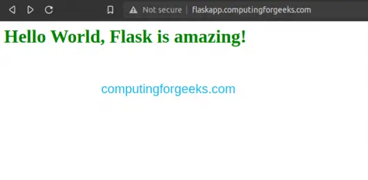 Install Flask with Gunicorn on Rocky Linux 8 / AlmaLinux 8 ...