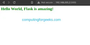 Install Flask with Gunicorn on Rocky Linux 8 / AlmaLinux 8 ...